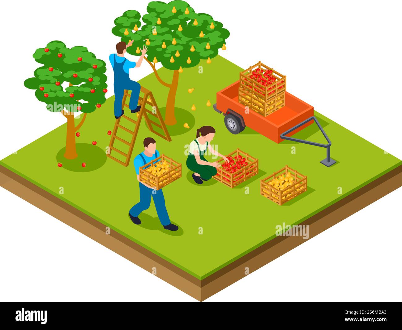 Isometric gardening. Farmers, plantation agriculture workers harvesting ...
