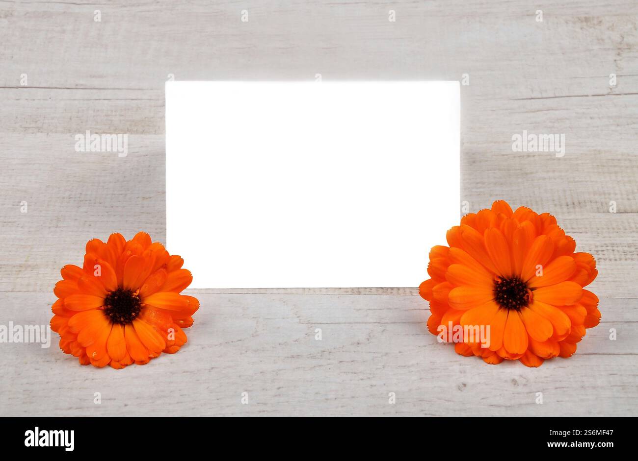 Writable card hi-res stock photography and images - Alamy