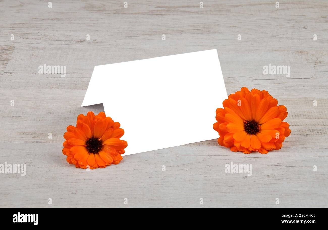 Reservation card hi-res stock photography and images - Alamy