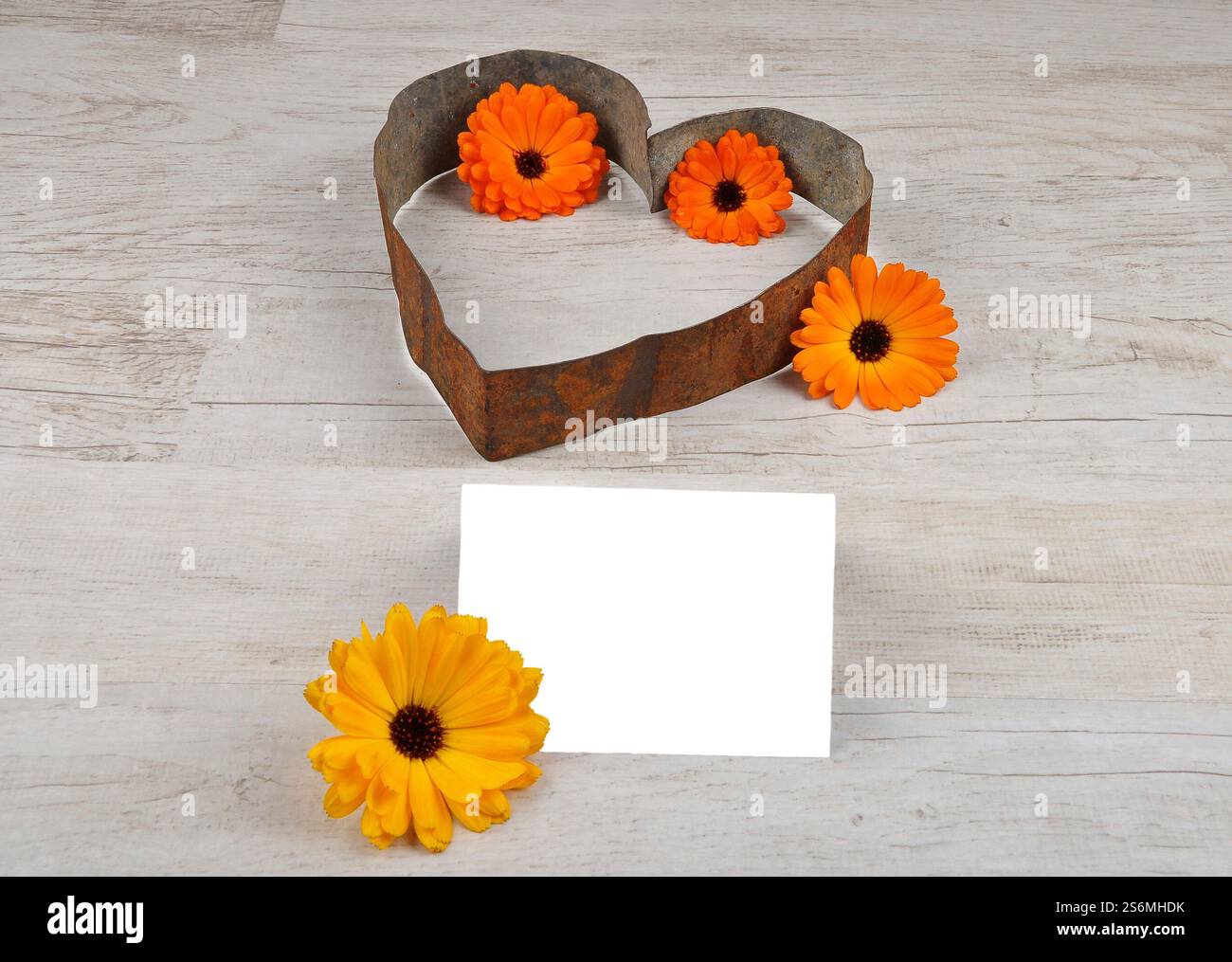 Metal card shape hi-res stock photography and images - Alamy