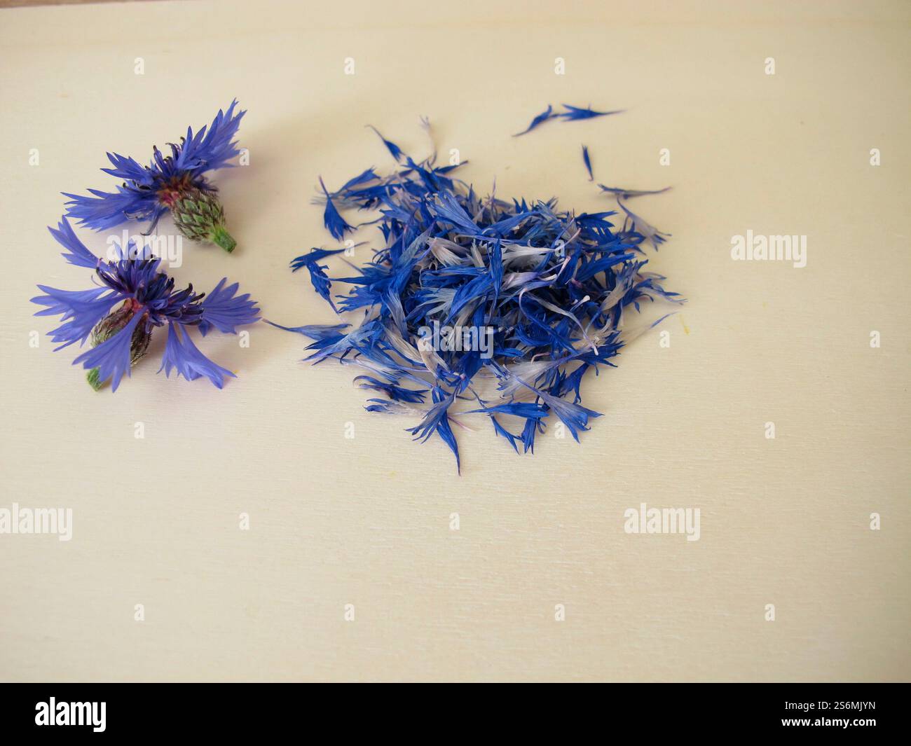 Dried blue cornflower petals Stock Photo - Alamy