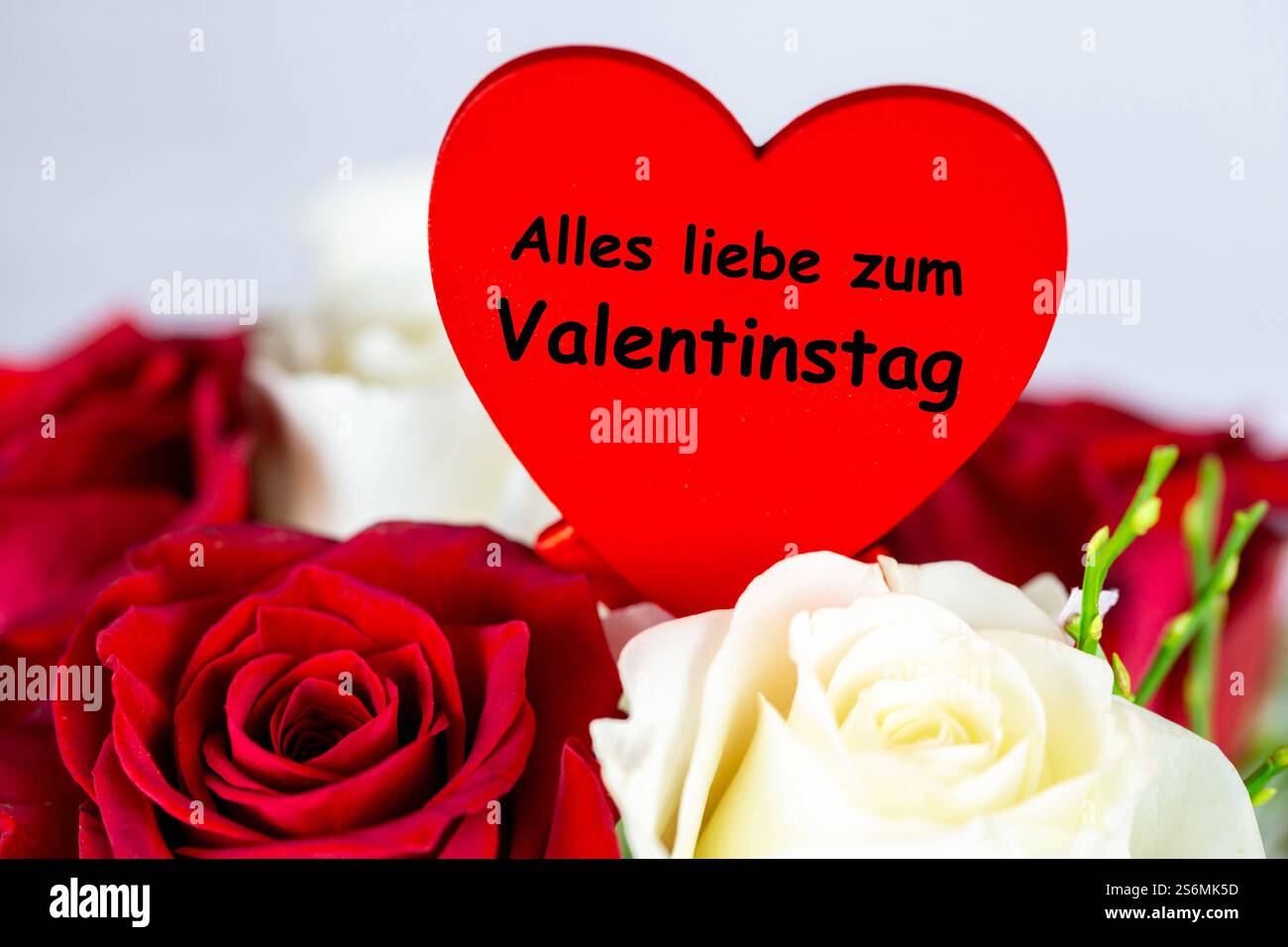 Valentinstag, Valentinsgrüße: Blumenstrauß mit weißen und roten Rosen ...
