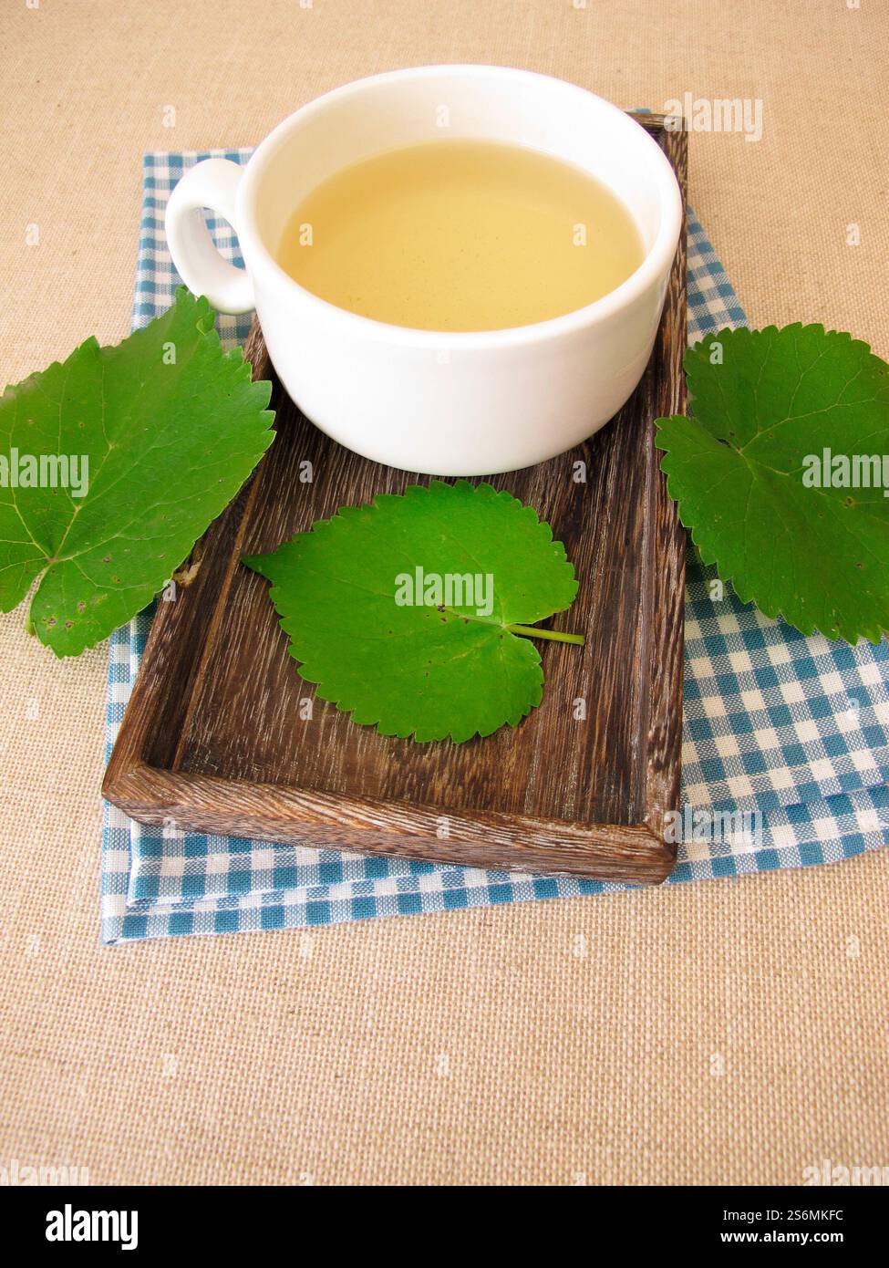 Tea made from white mulberry leaves hi-res stock photography and images ...