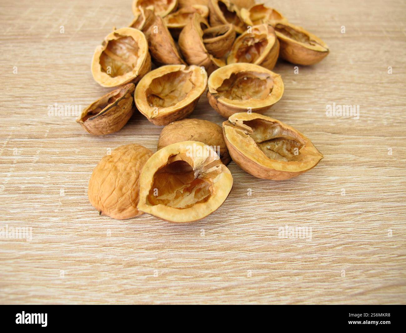 Craft material nutshells: walnut shells cut in half Stock Photo - Alamy
