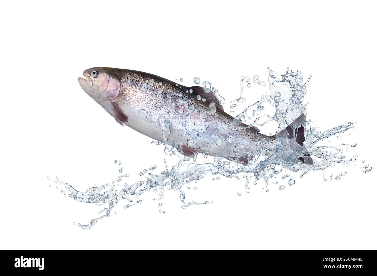 Splash bounce Cut Out Stock Images & Pictures - Alamy