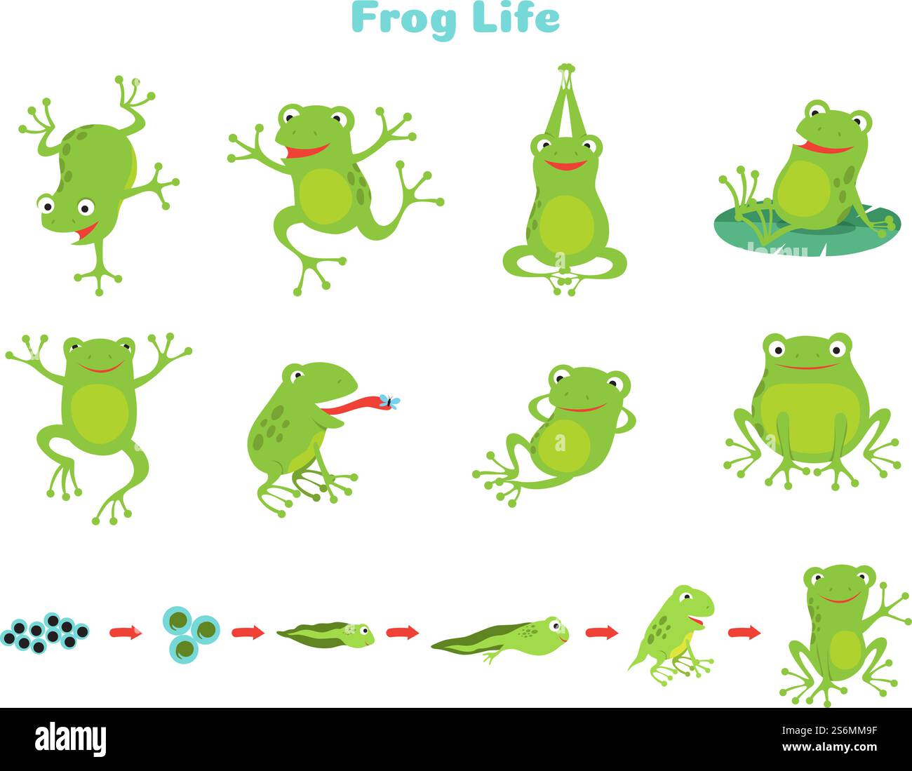 Cartoon frog. Cute green frogs, isolated wild animal in different poses ...