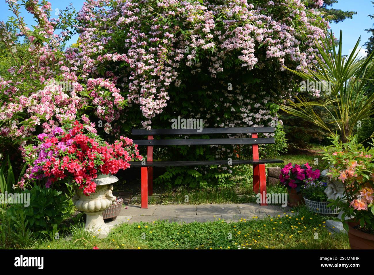 Sense of spring hi-res stock photography and images - Alamy