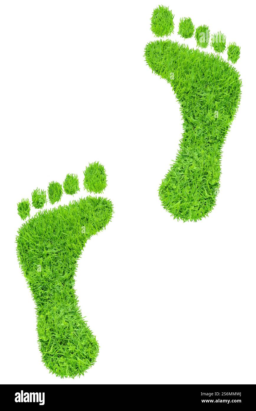 Green carbon footprint icon Cut Out Stock Images & Pictures - Alamy