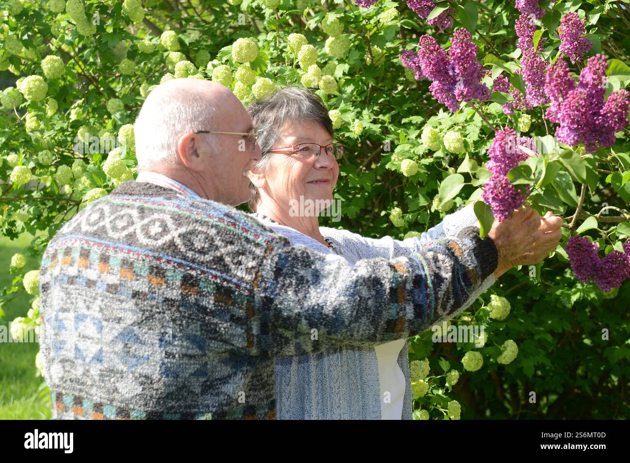 Happy married couple retirees hi-res stock photography and images - Alamy
