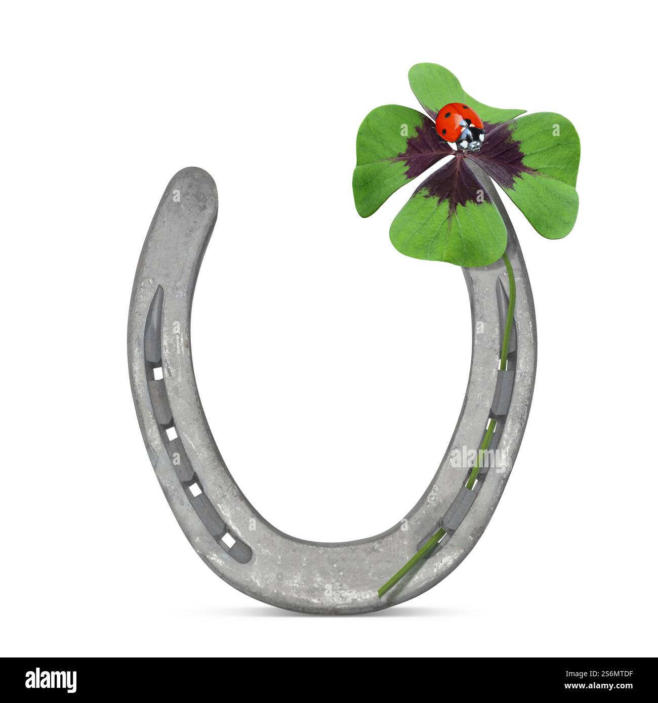 Charm of form hi-res stock photography and images - Alamy