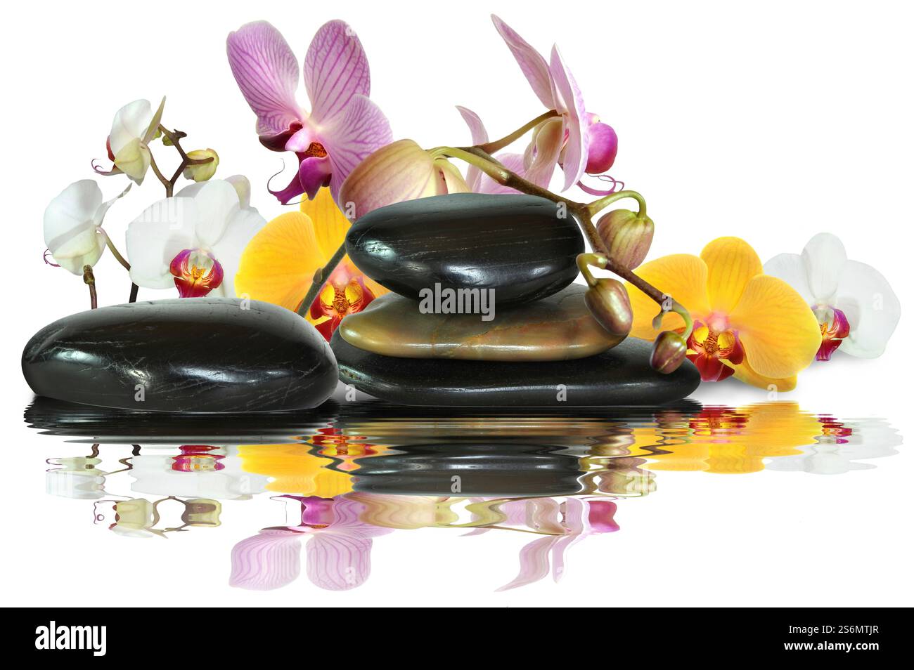 Sense of relaxation Cut Out Stock Images & Pictures - Alamy