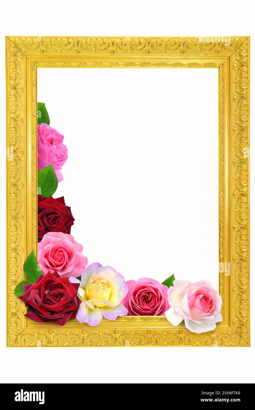 Golden frame red roses Cut Out Stock Images & Pictures - Alamy