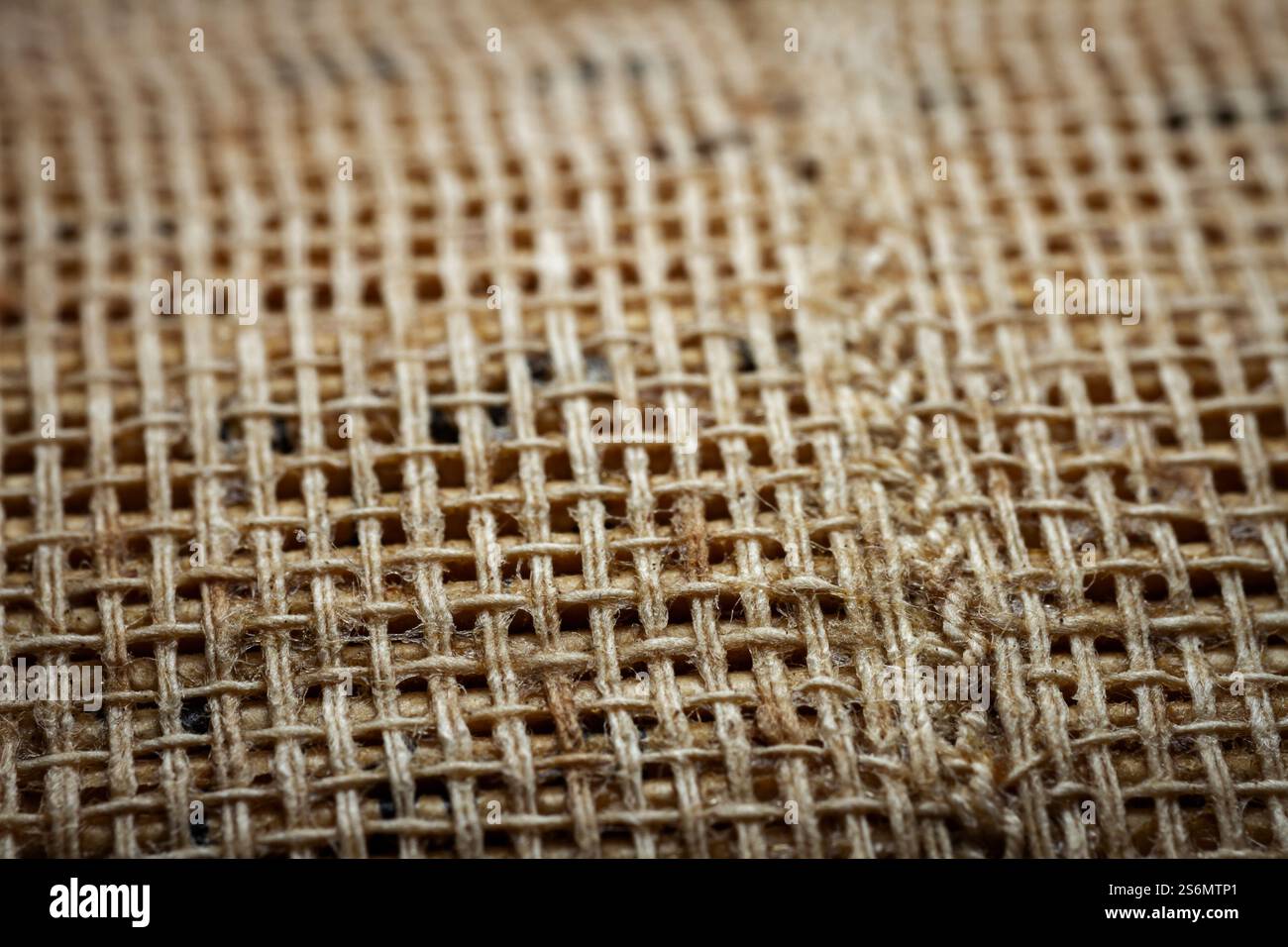 Extreme closeup of an old book from the side. Selective soft focus ...