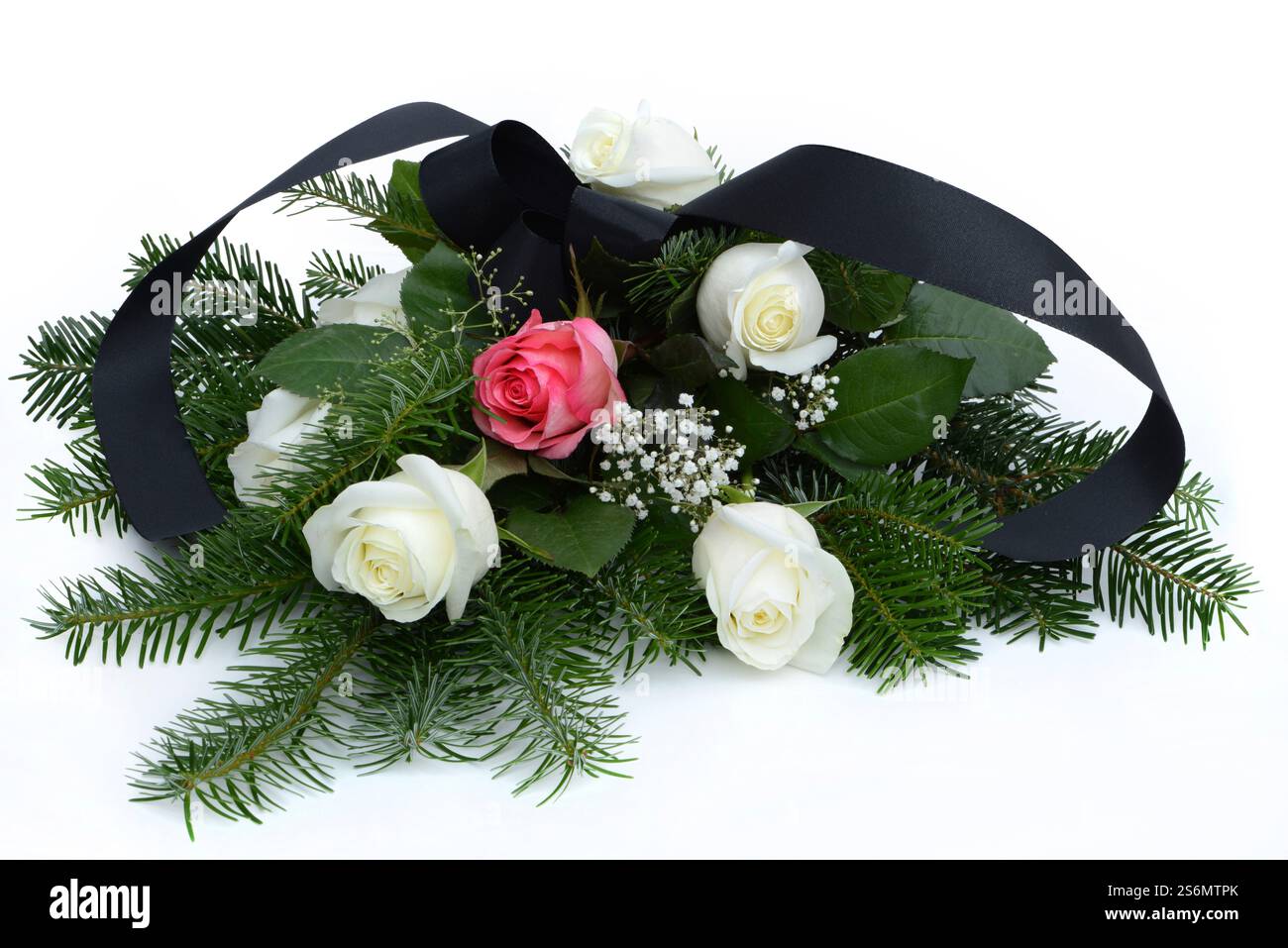 Death blooms band hi-res stock photography and images - Alamy