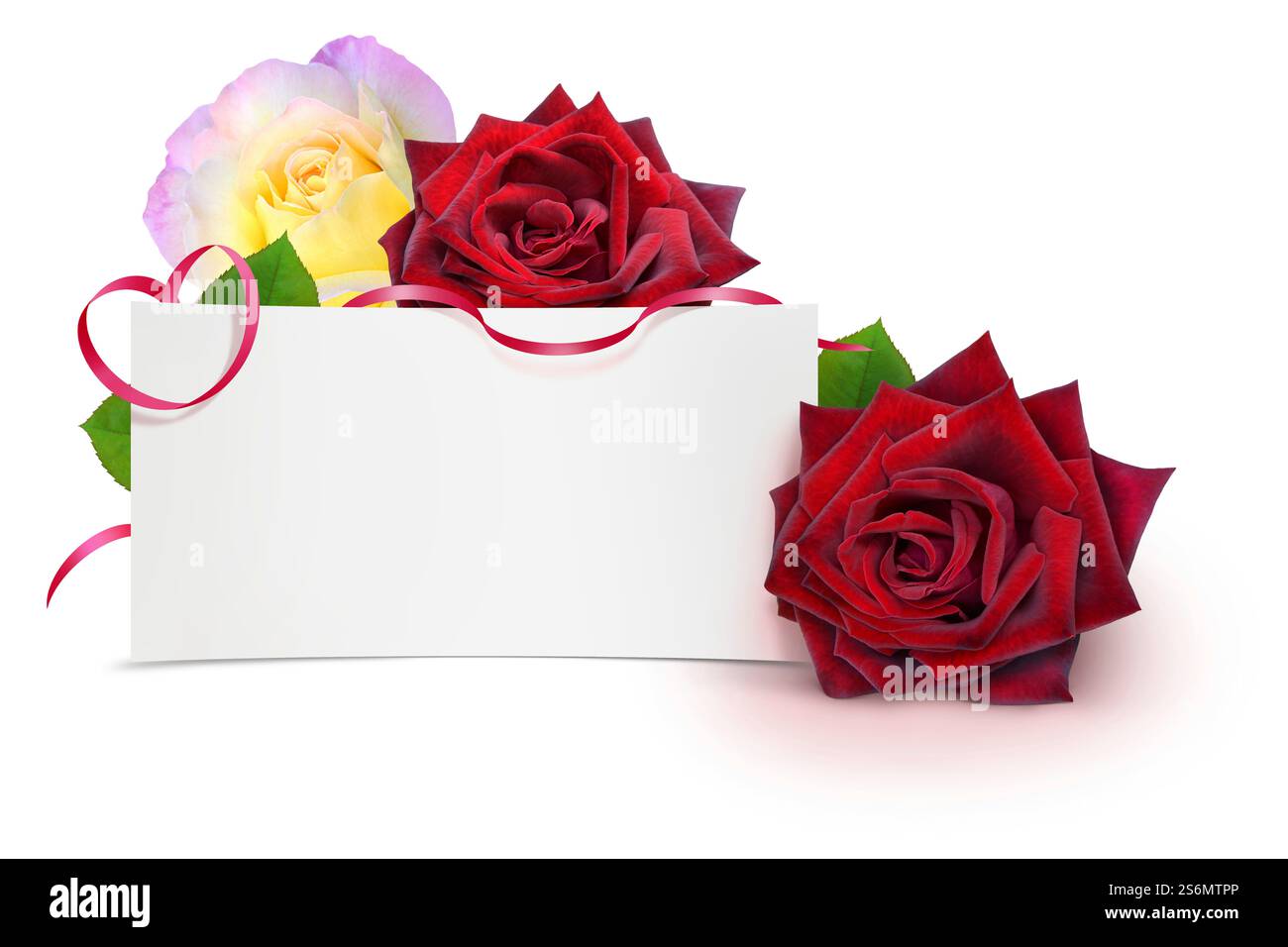 Place card isolated hi-res stock photography and images - Alamy