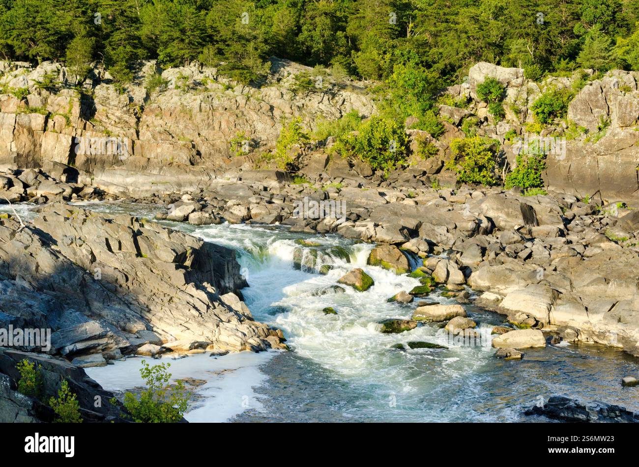 Cataracts in the Great Falls of the Potomac River Stock Photo - Alamy