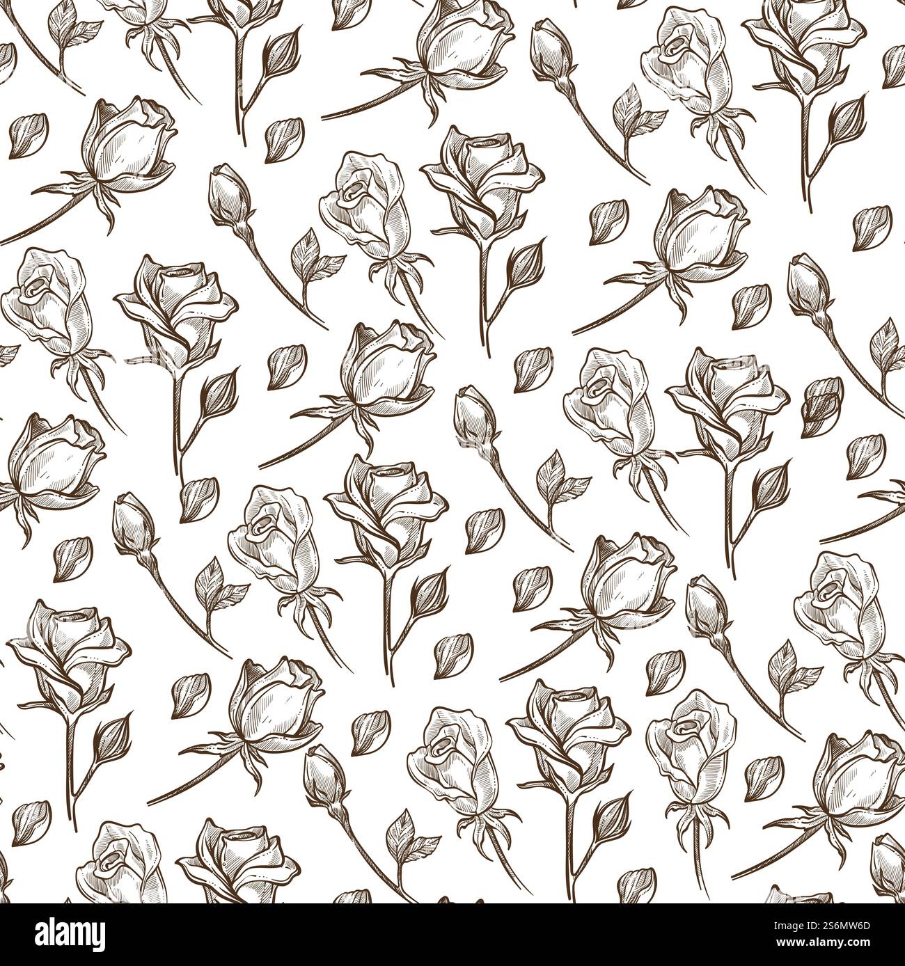 Floral print seamless pattern, colorless flourishing roses on stem with ...
