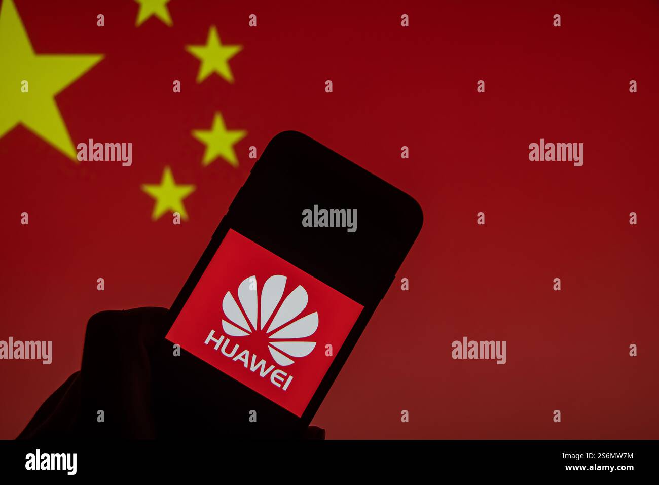 Rheinbach, Germany 16 January 2025, The brand logo of the Chinese ...