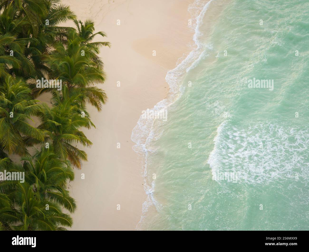 Dominican Republic, Top view of dominicus beach at morning, Caribbean ...