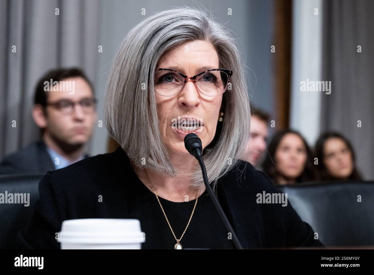 Washington, United States. 17th Jan, 2025. U.S. Senator Joni Ernst (R ...