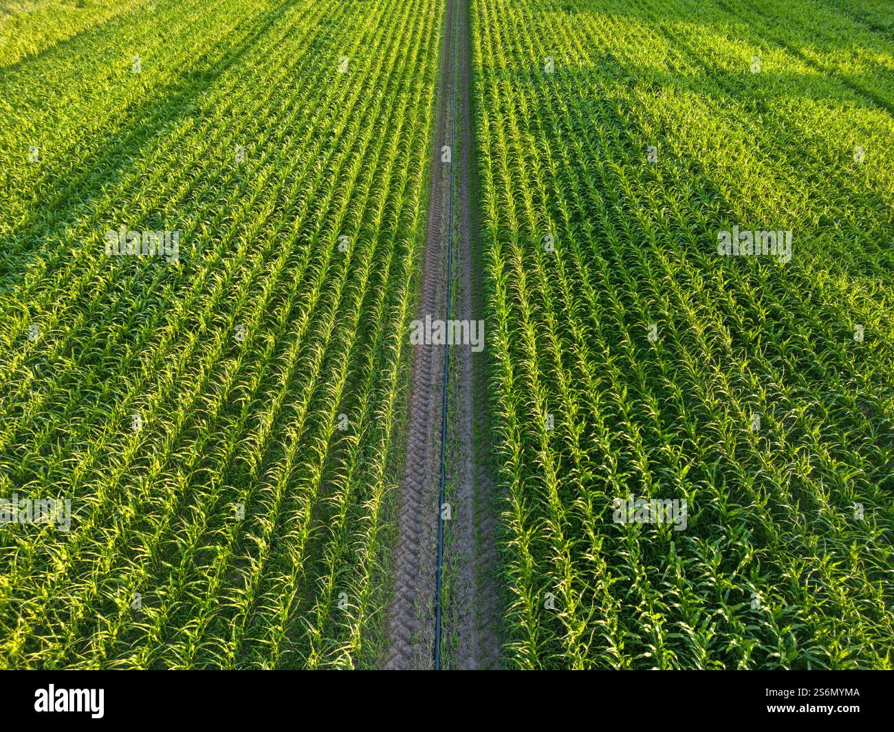 Tractor seeding field aerial view hi-res stock photography and images ...