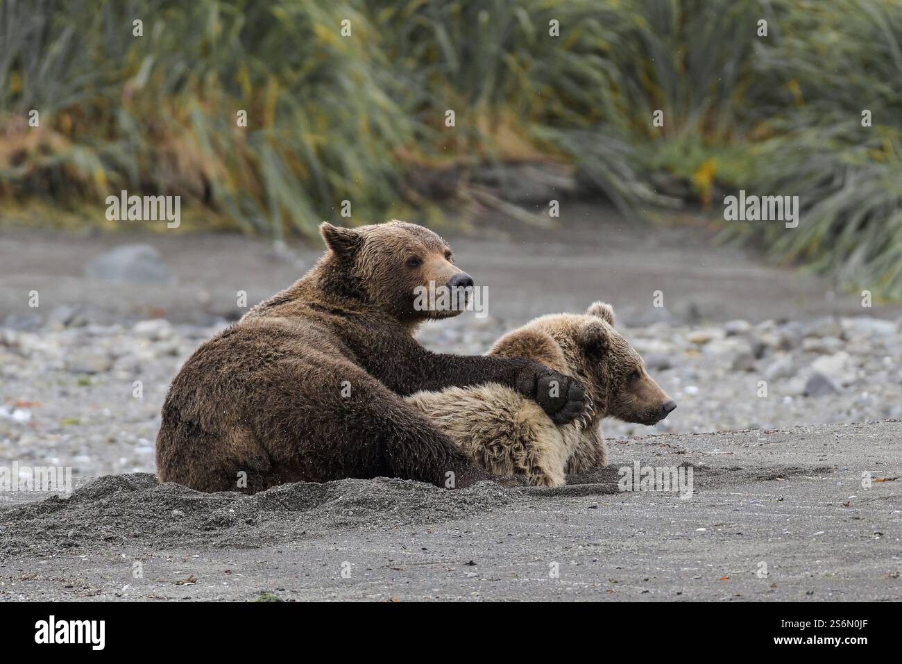 U s mother with baby hi-res stock photography and images - Alamy