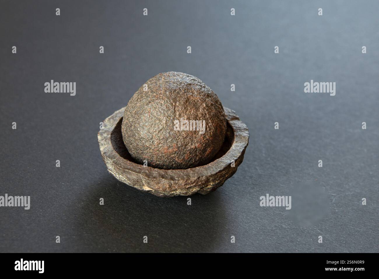 Stone ball in shell Stock Photo - Alamy