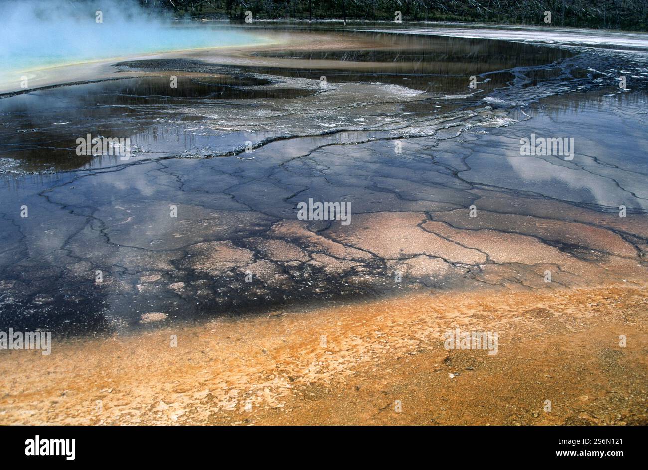 Unique blaze of color in a thermal lake in Yellowstone National Park ...