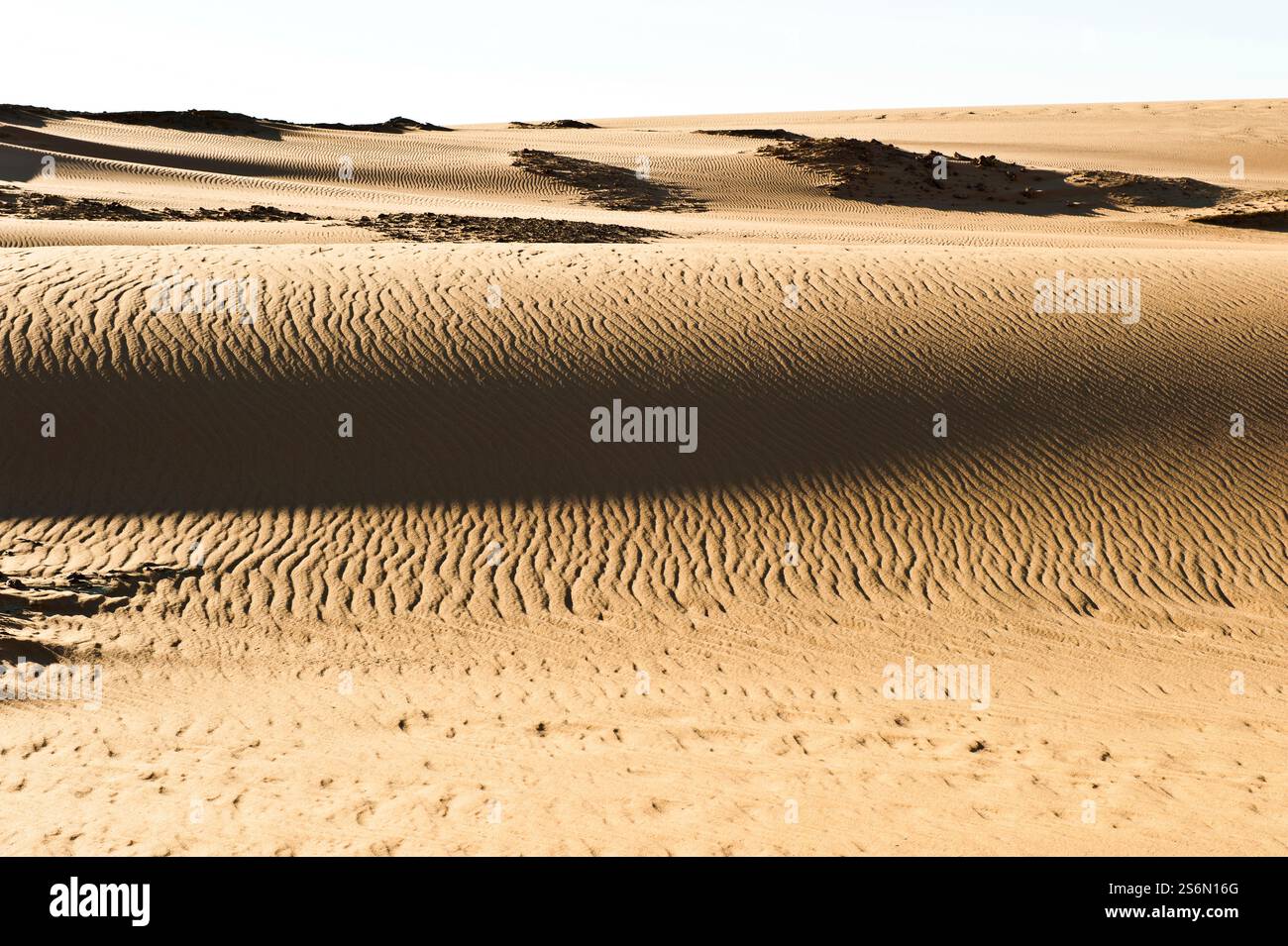 Endless desert landscape hi-res stock photography and images - Alamy