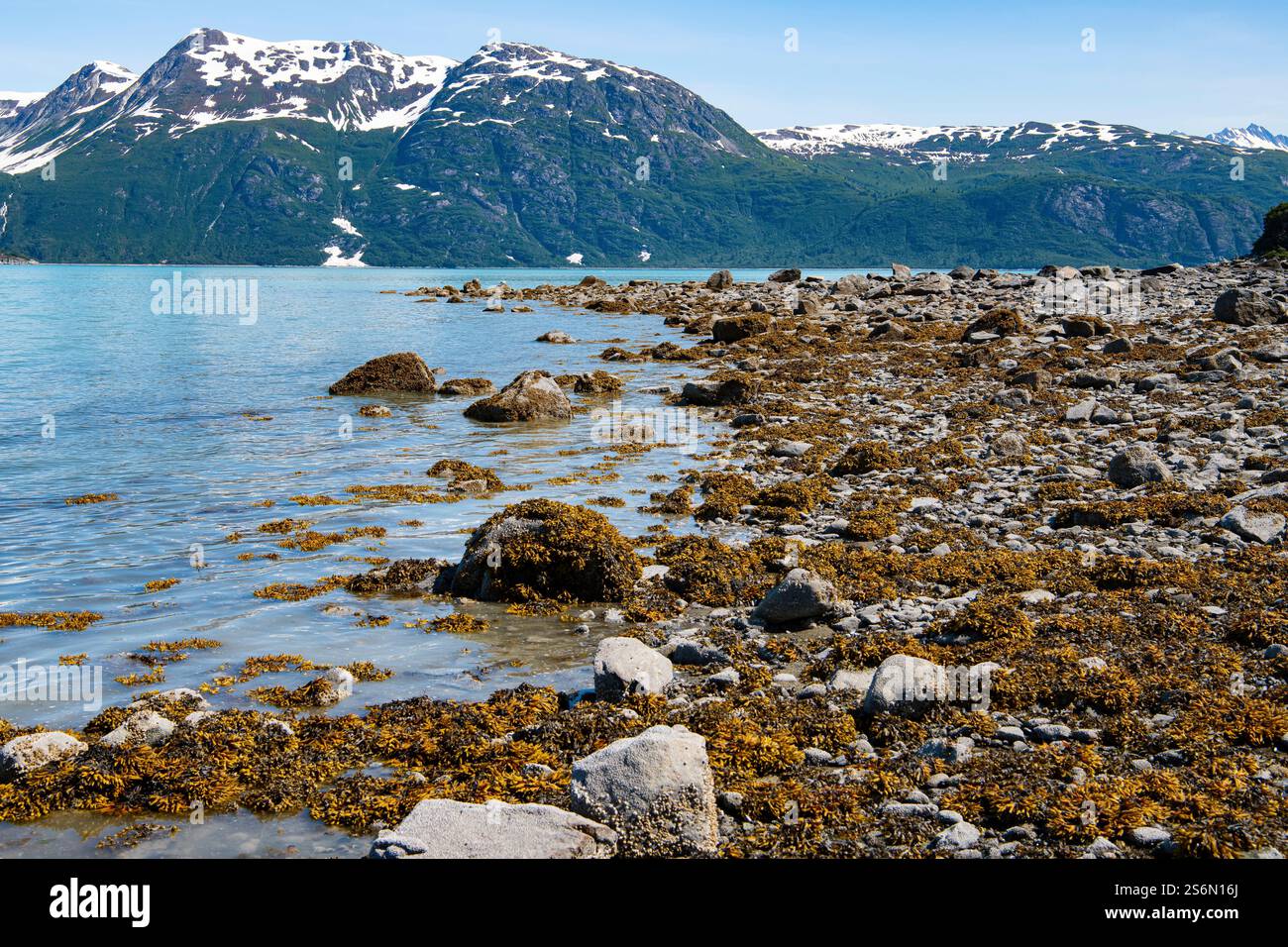 Coastal landscape in Glacier Bay - Alaska Stock Photo - Alamy