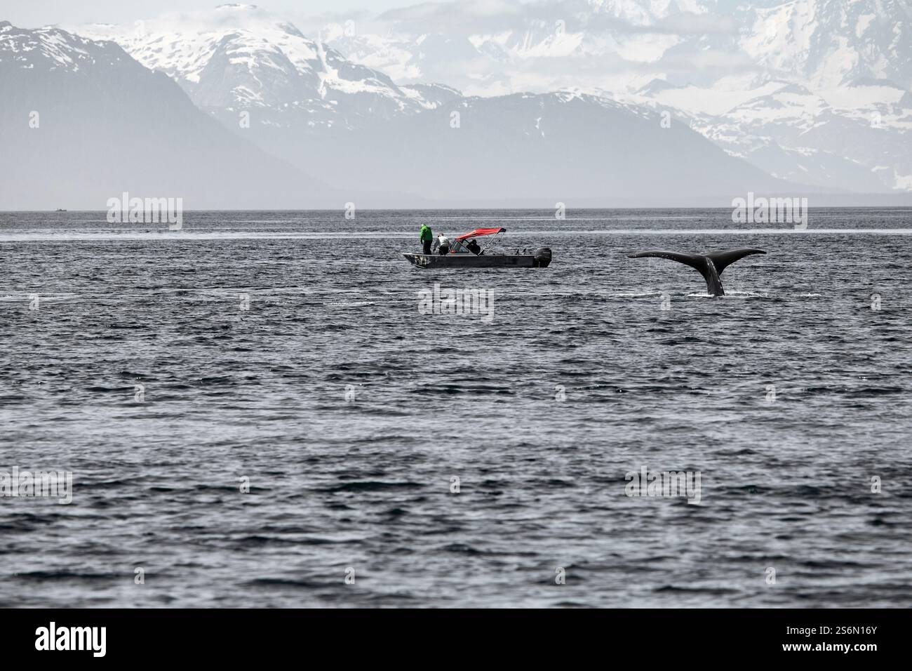 Anglers' boat with fin of a humpback whale in Glacier Bay Stock Photo ...