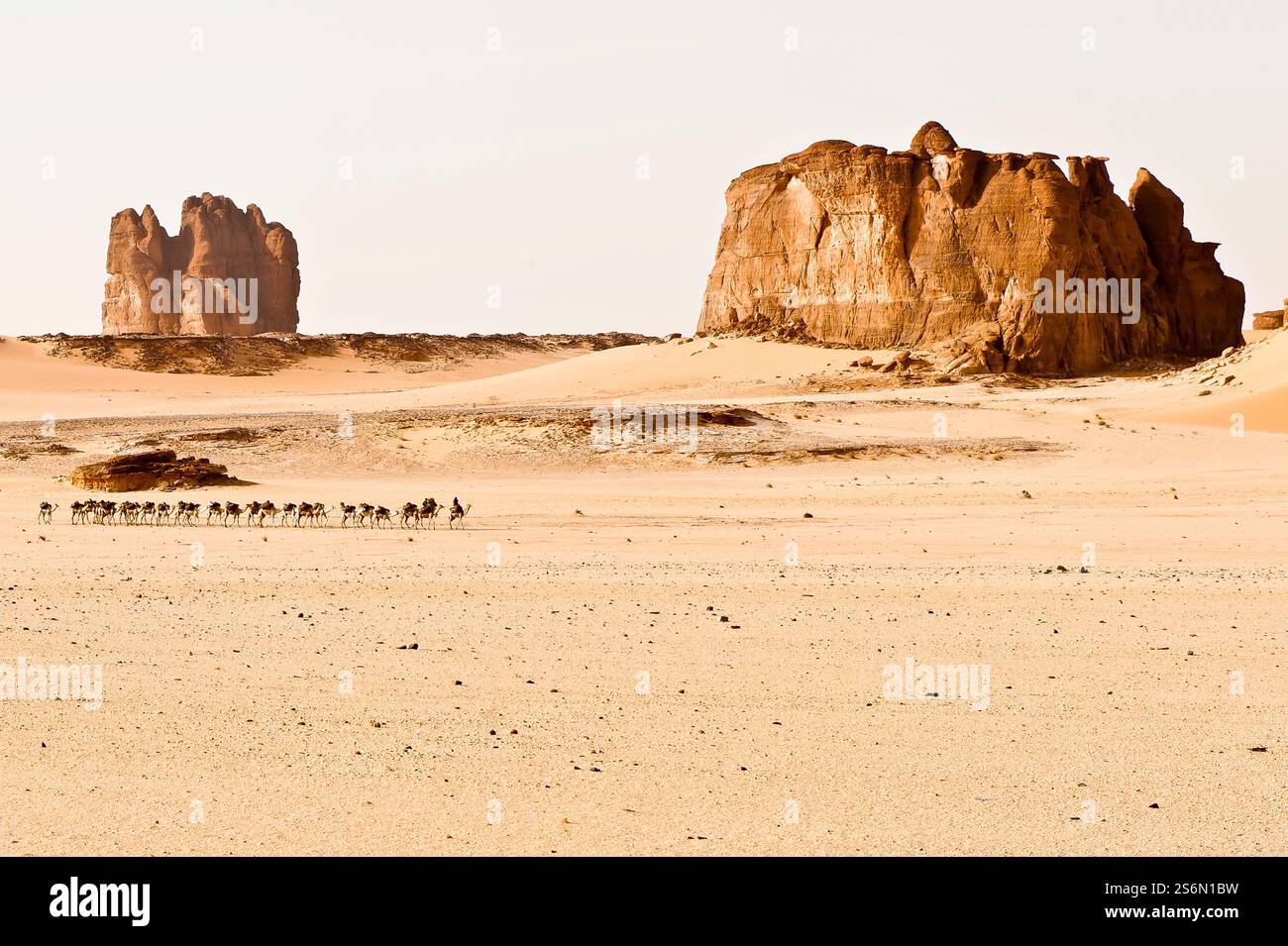 Sahara desert salt hi-res stock photography and images - Alamy