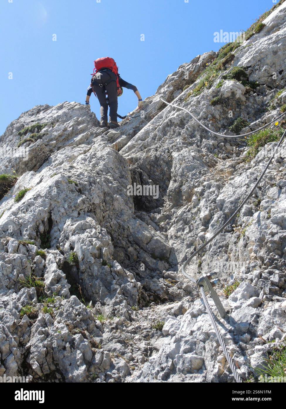 Human descent hi-res stock photography and images - Alamy