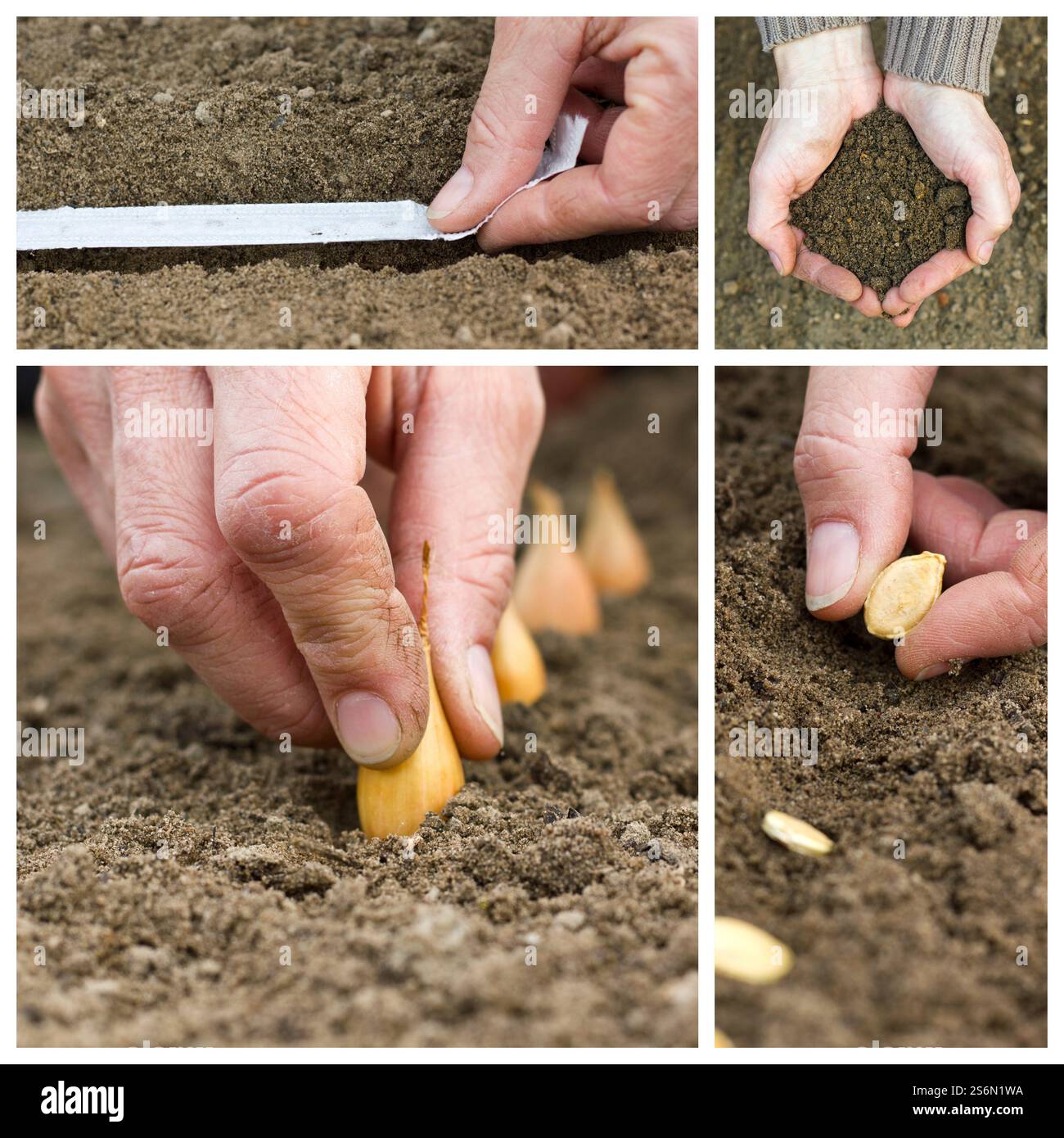 Soil retaining Cut Out Stock Images & Pictures - Alamy