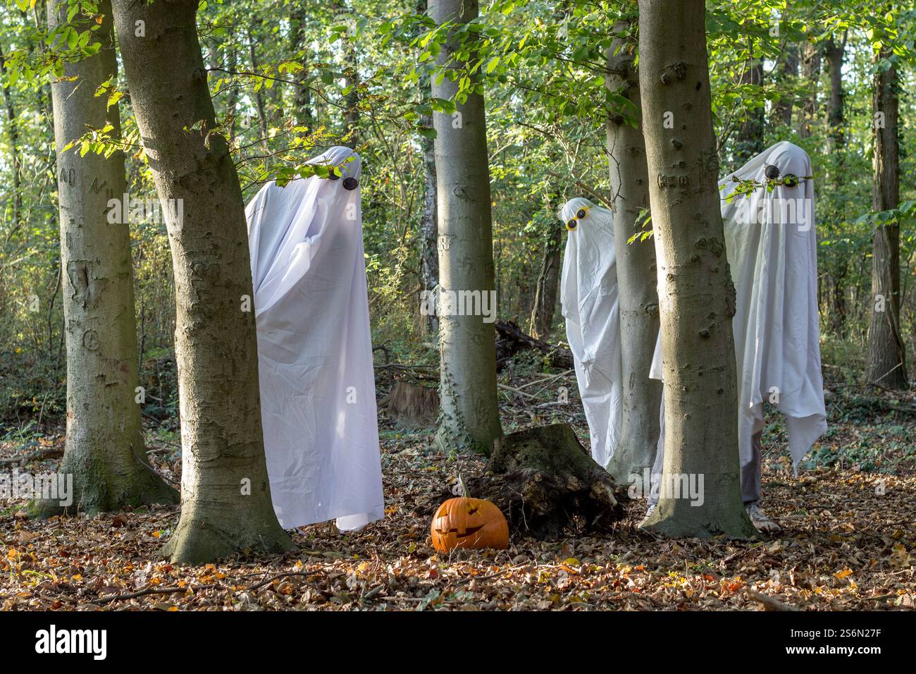 Three ghosts celebrate a Halloween party in the forest Stock Photo - Alamy
