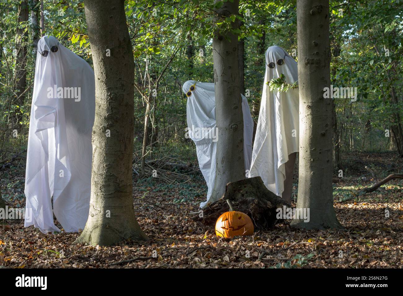 Three ghosts celebrate a Halloween party in the forest Stock Photo - Alamy