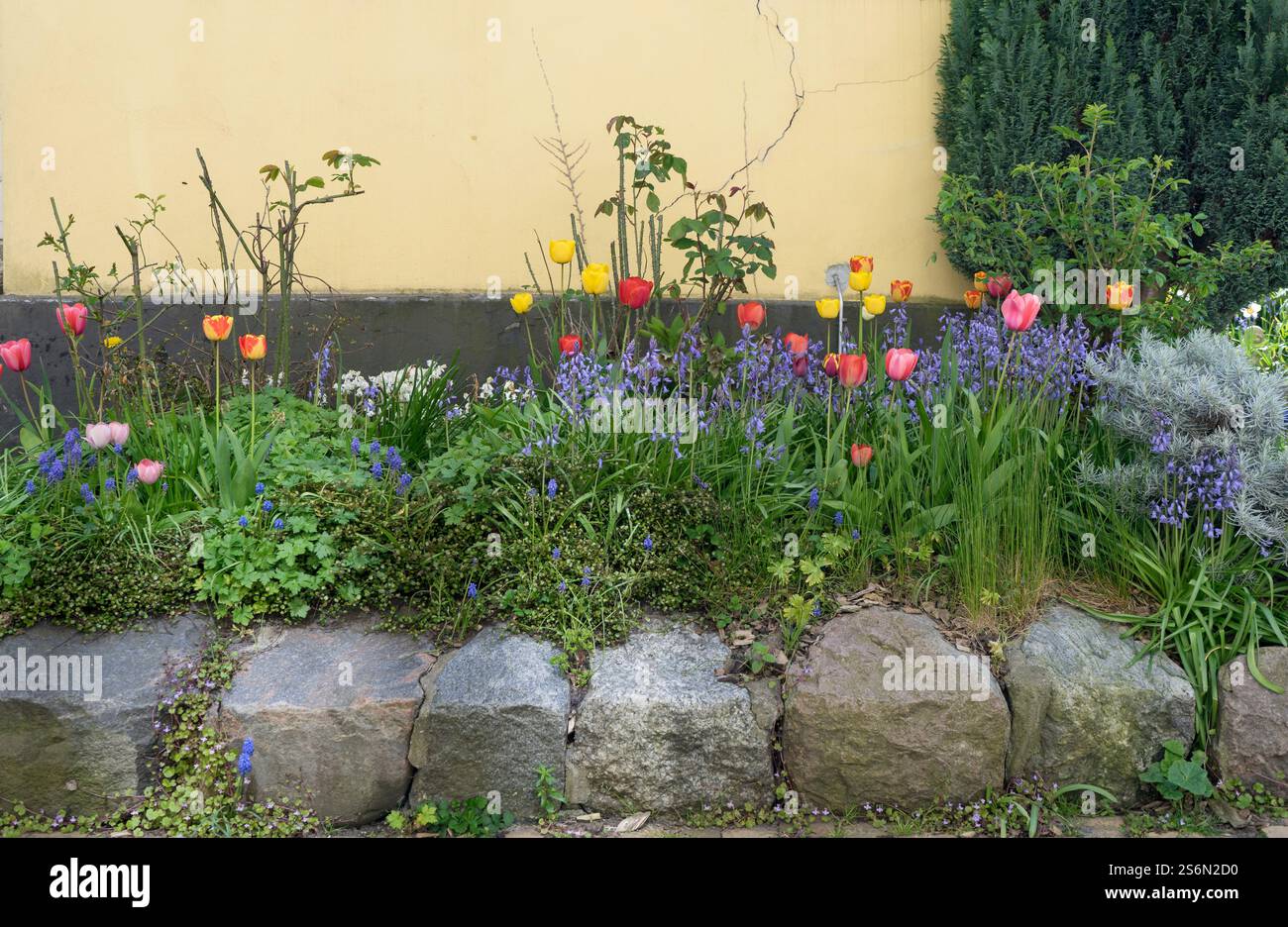 Flower bed with spring flowers by the house Stock Photo - Alamy
