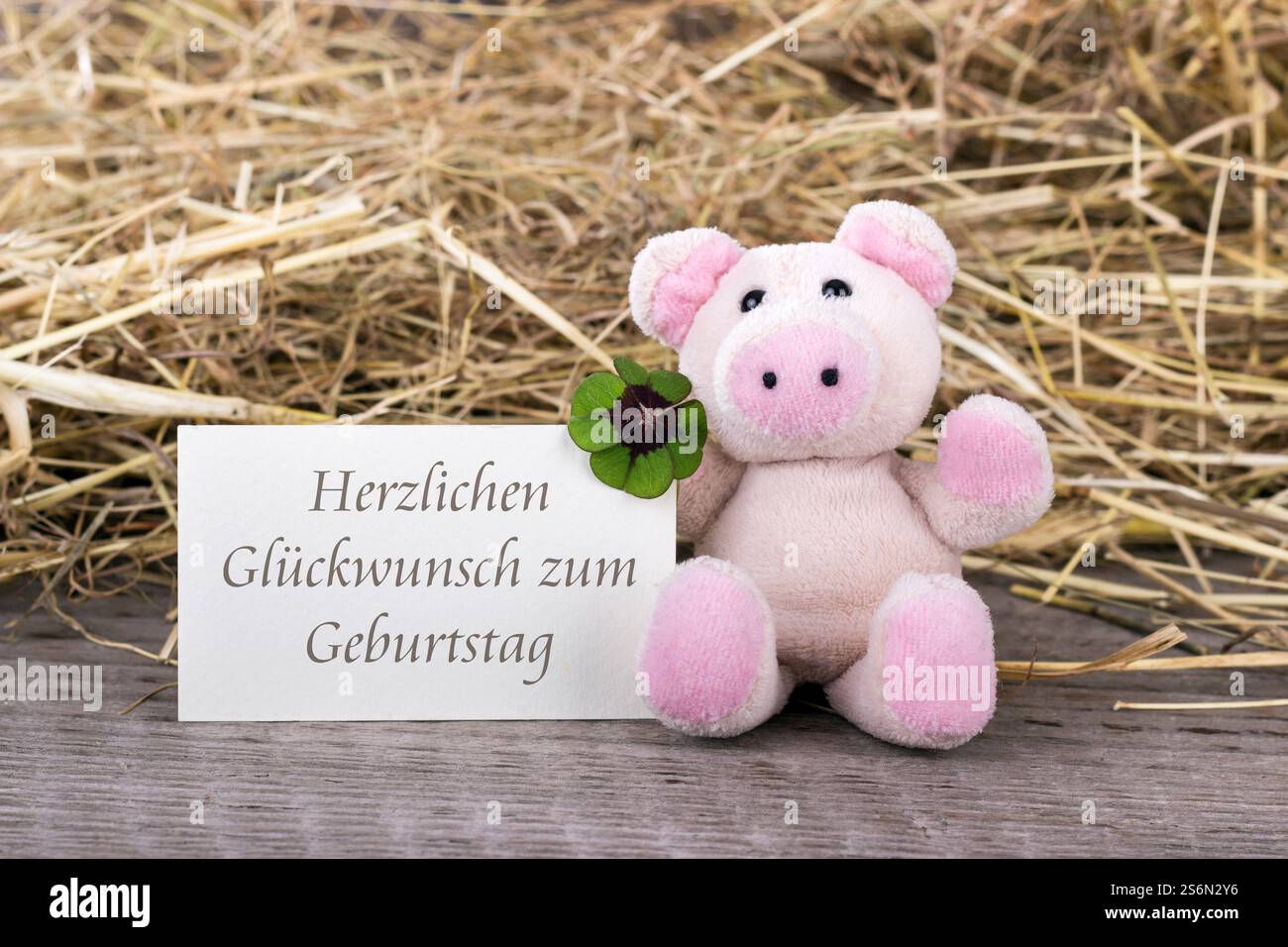 Lucky pig with shamrock and birthday card Stock Photo - Alamy