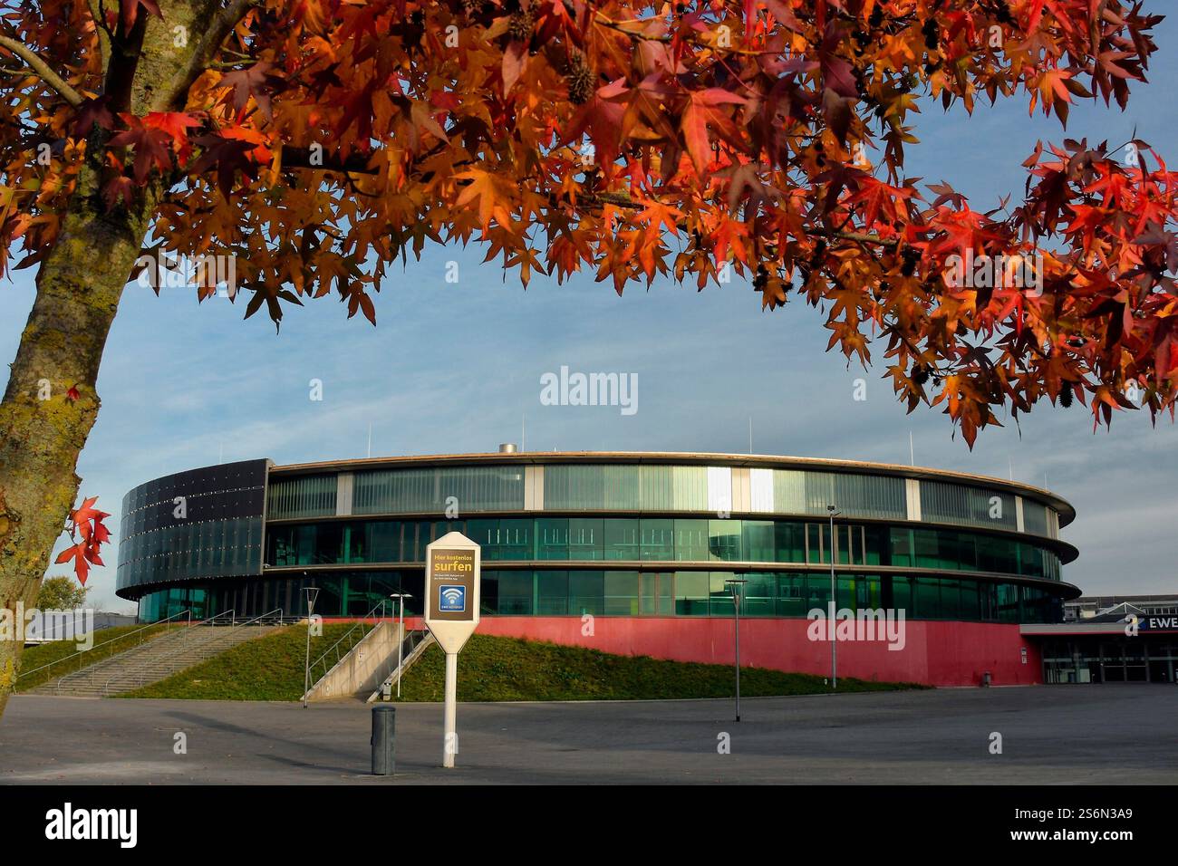 Amber tree in fall color in front of the small EWE arena in Oldenburg ...