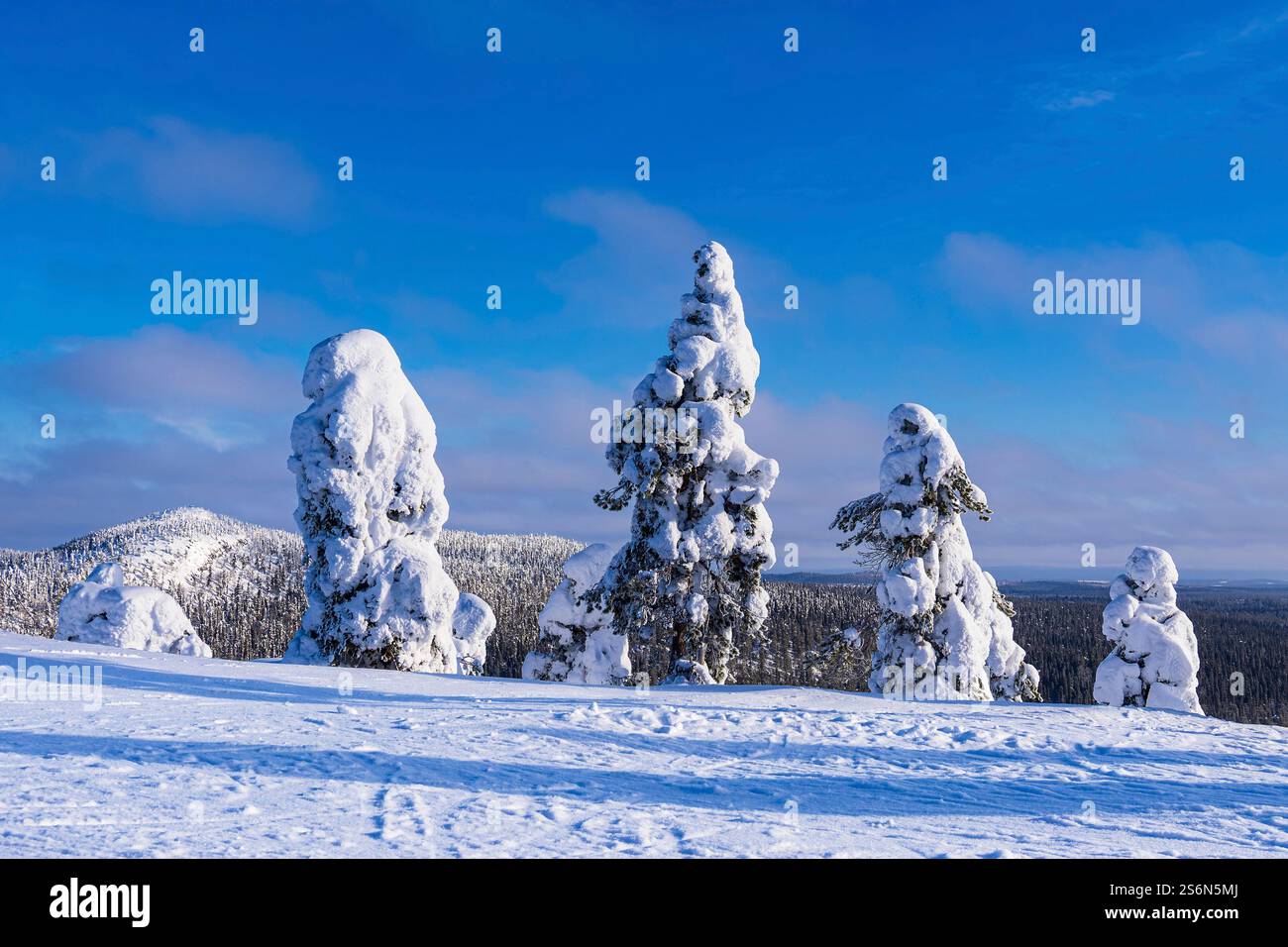 Landscape with snow in winter in Ruka, Finland Stock Photo - Alamy