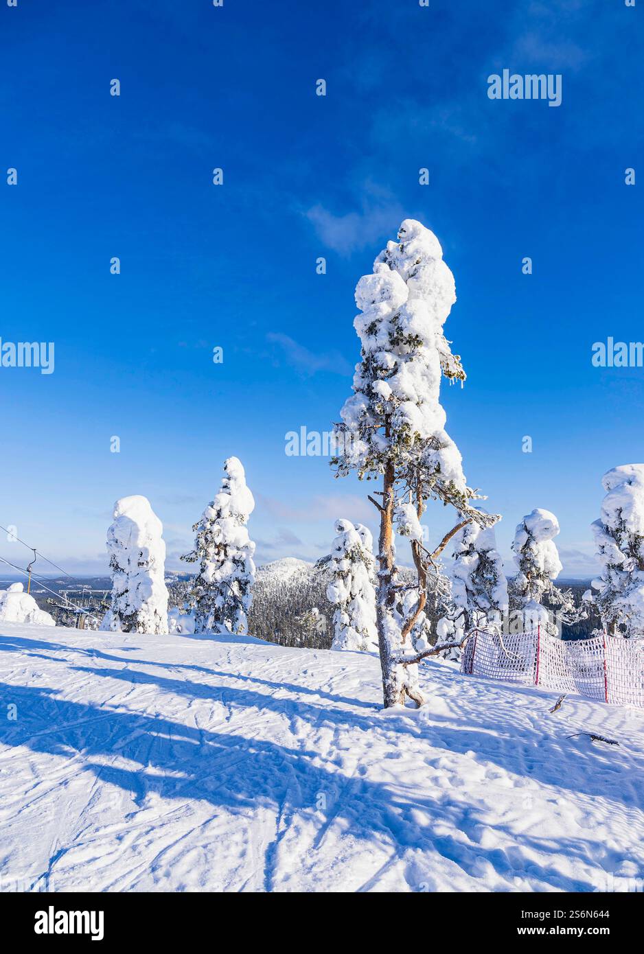 Landscape with snow in winter in Ruka, Finland Stock Photo - Alamy