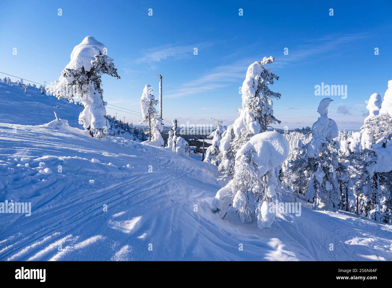 Landscape with snow in winter in Ruka, Finland Stock Photo - Alamy