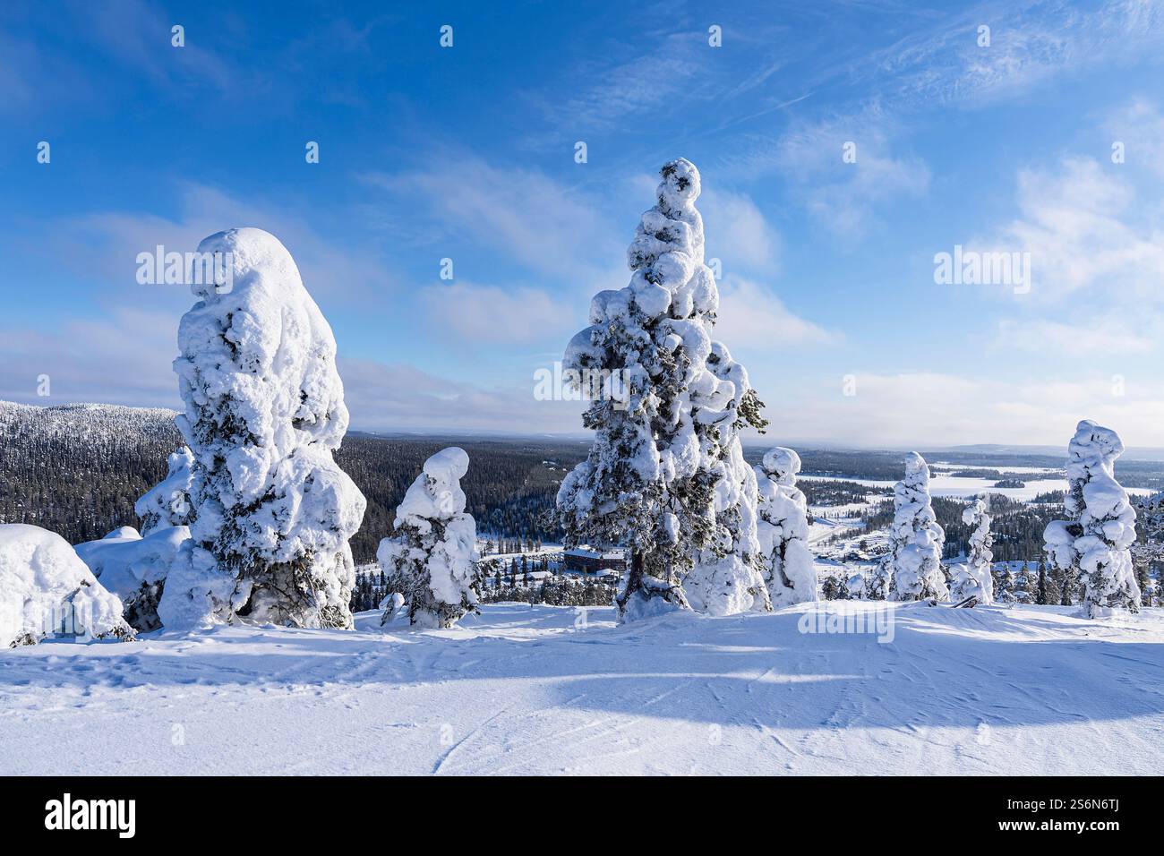 Landscape with snow in winter in Ruka, Finland Stock Photo - Alamy