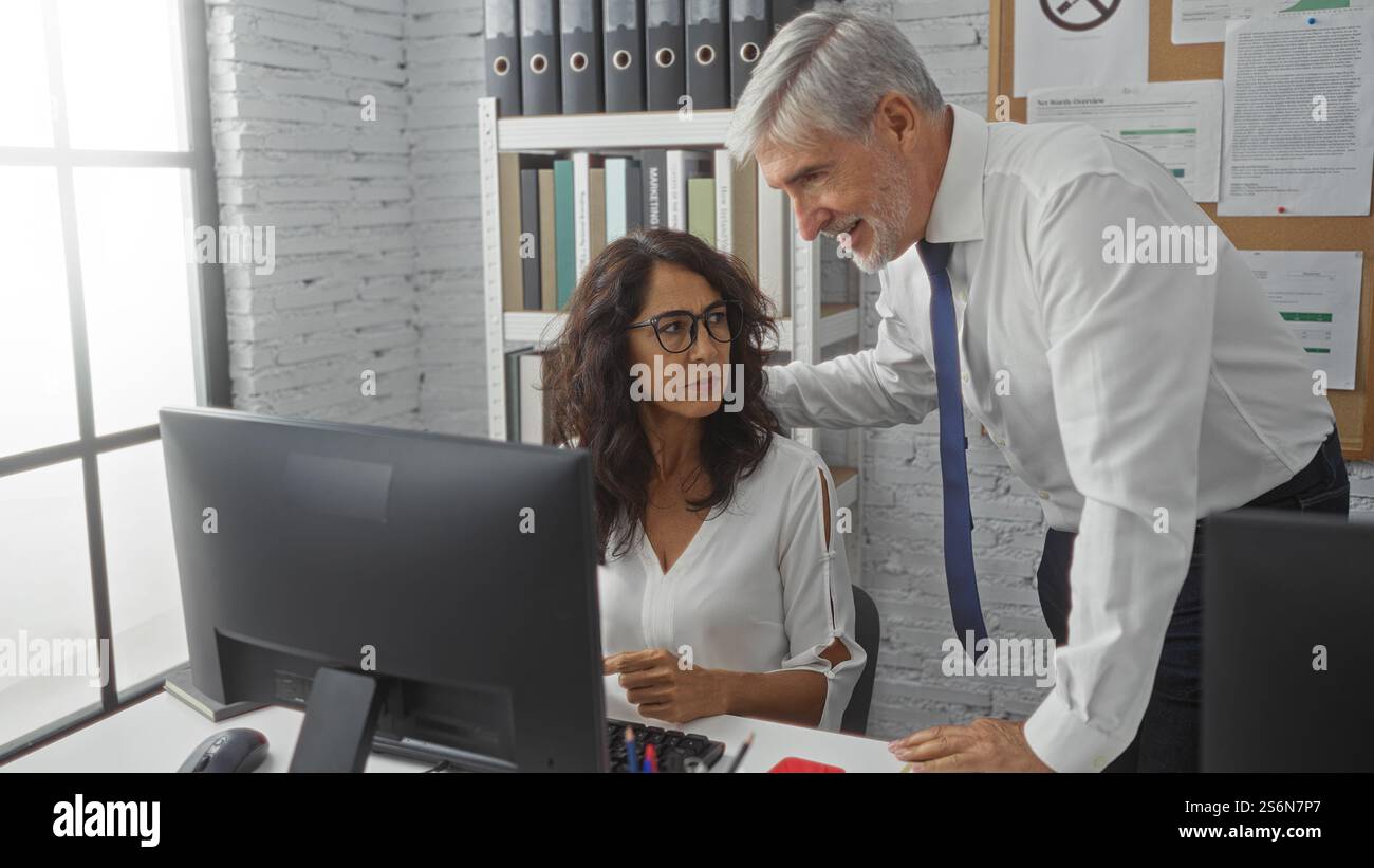Woman working at computer in modern office with attentive older man ...