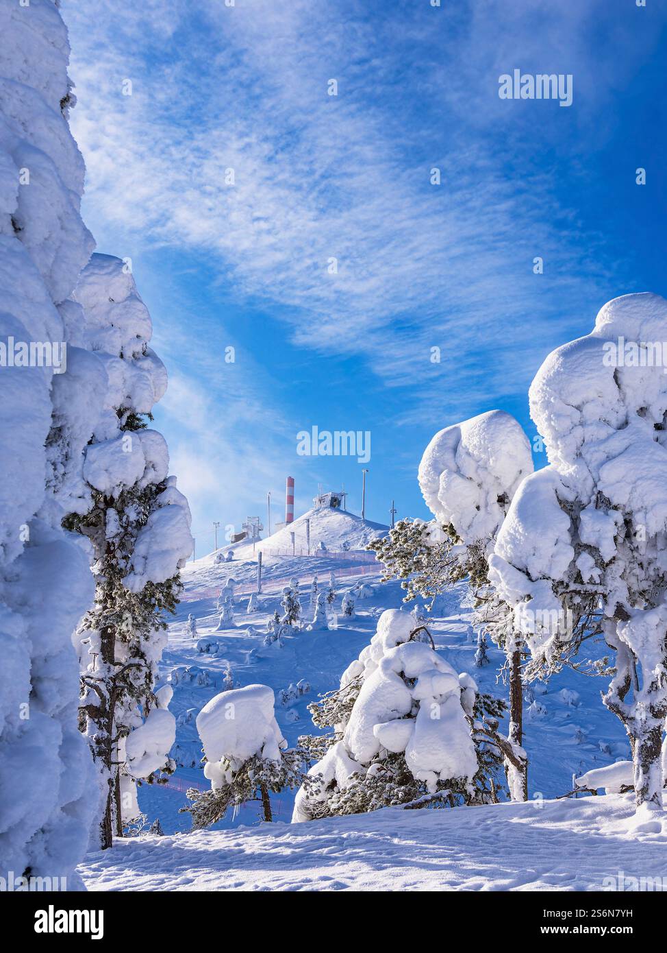Landscape with snow in winter in Ruka, Finland Stock Photo - Alamy