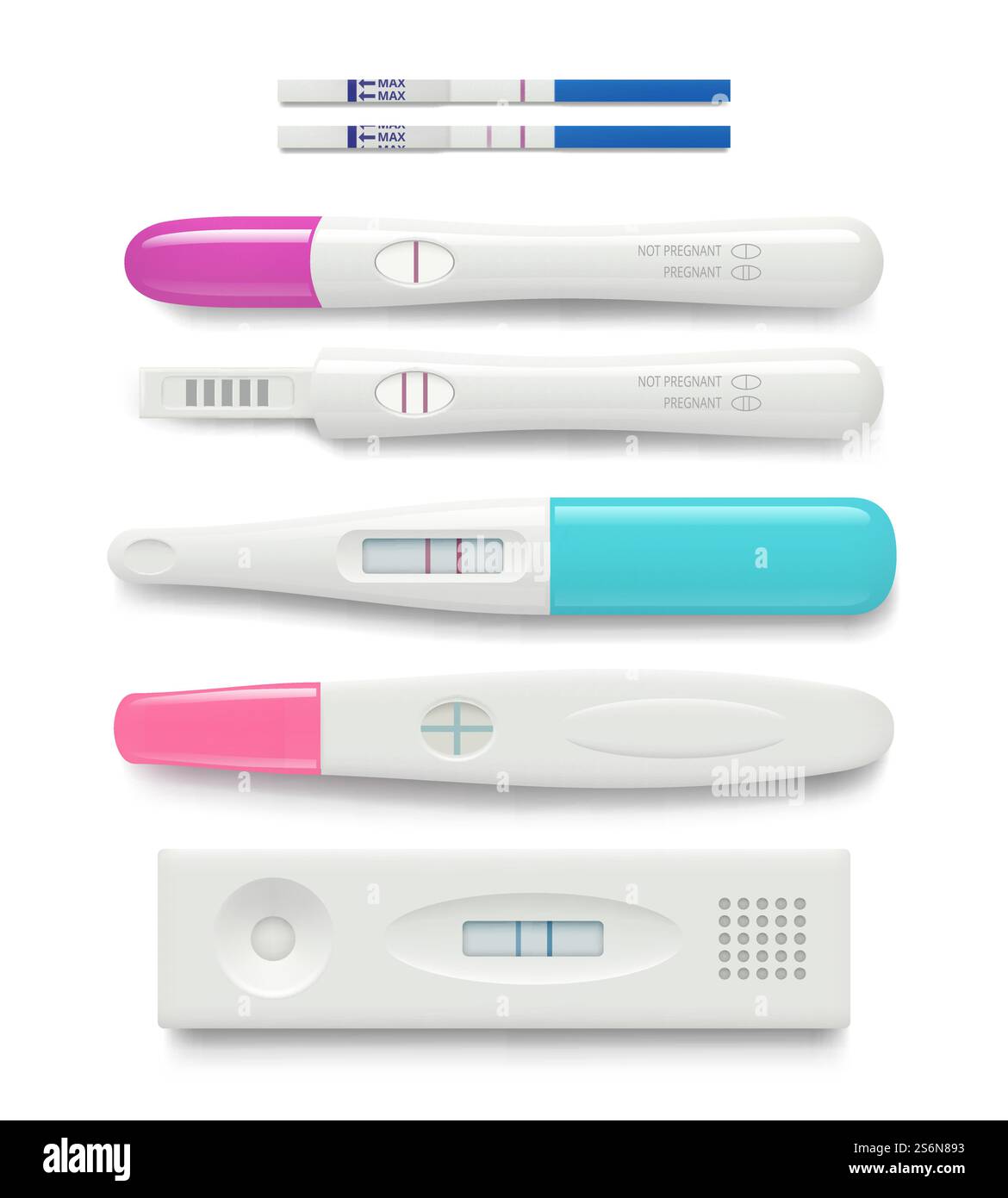 Pregnancy test. Female negative or positive test good ovulation ...