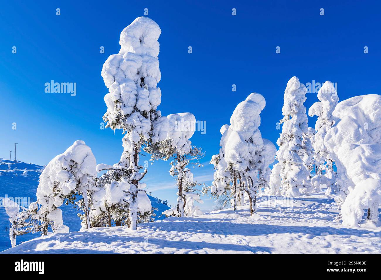 Landscape with snow in winter in Ruka, Finland Stock Photo - Alamy