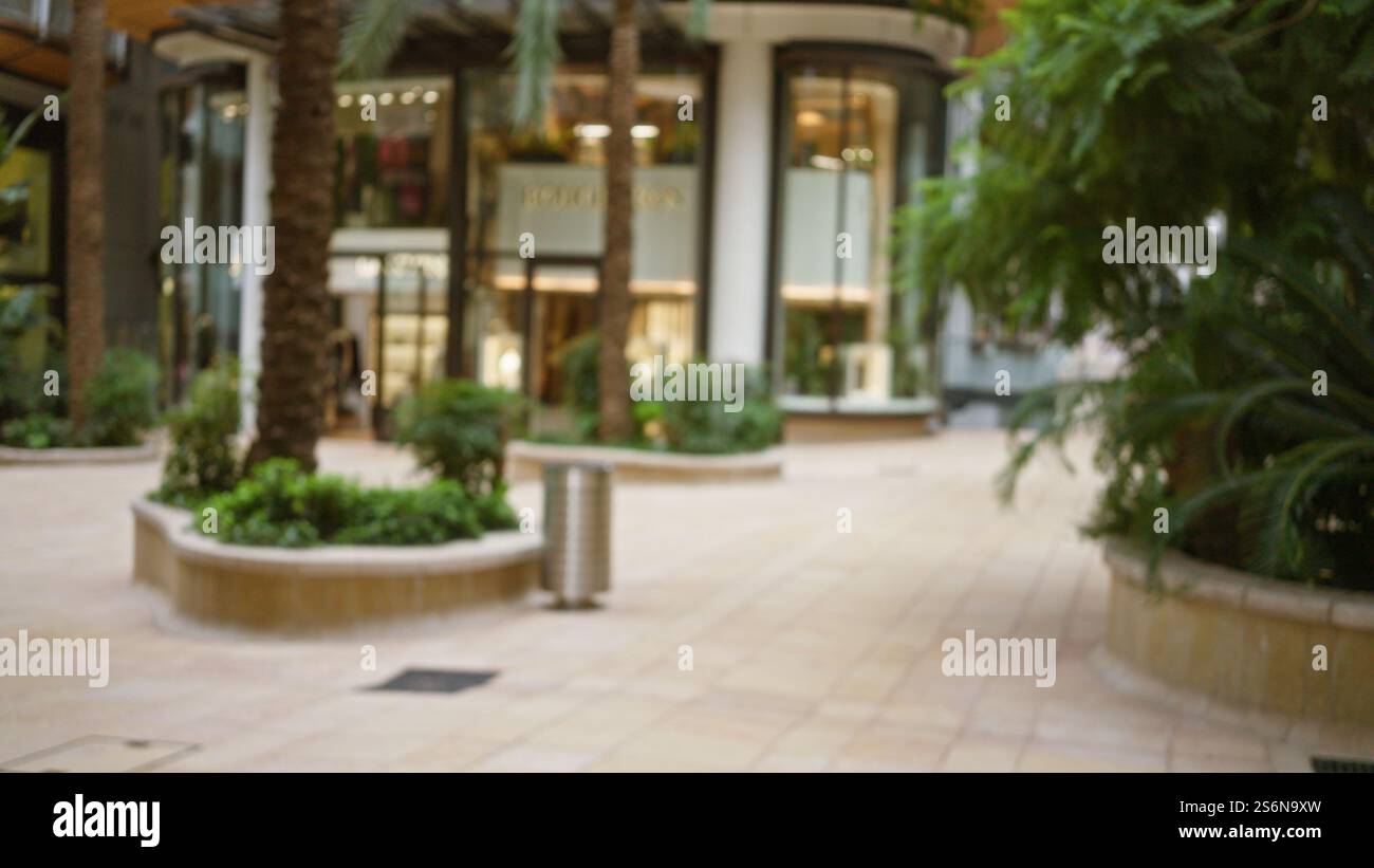 Blurred view of a luxury street in monaco featuring palm trees and ...