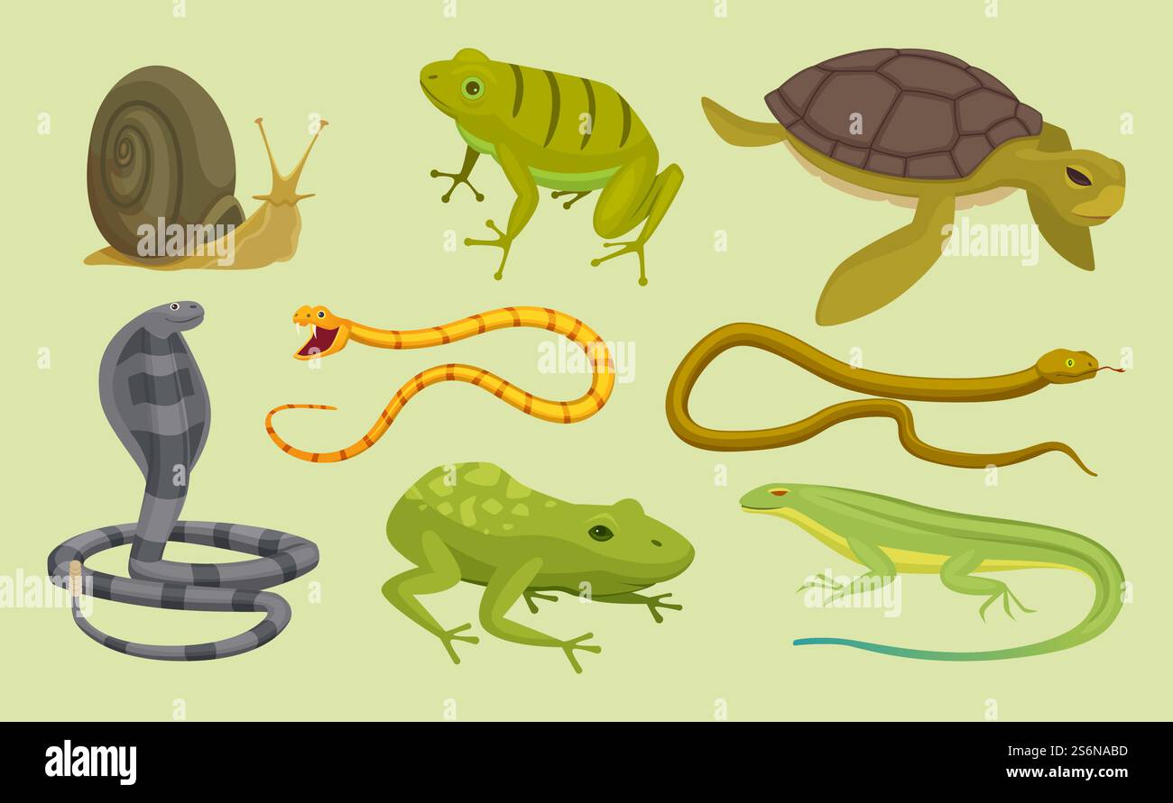 Reptiles set. Lizard snake turtles snail cartoon vector wild animals ...