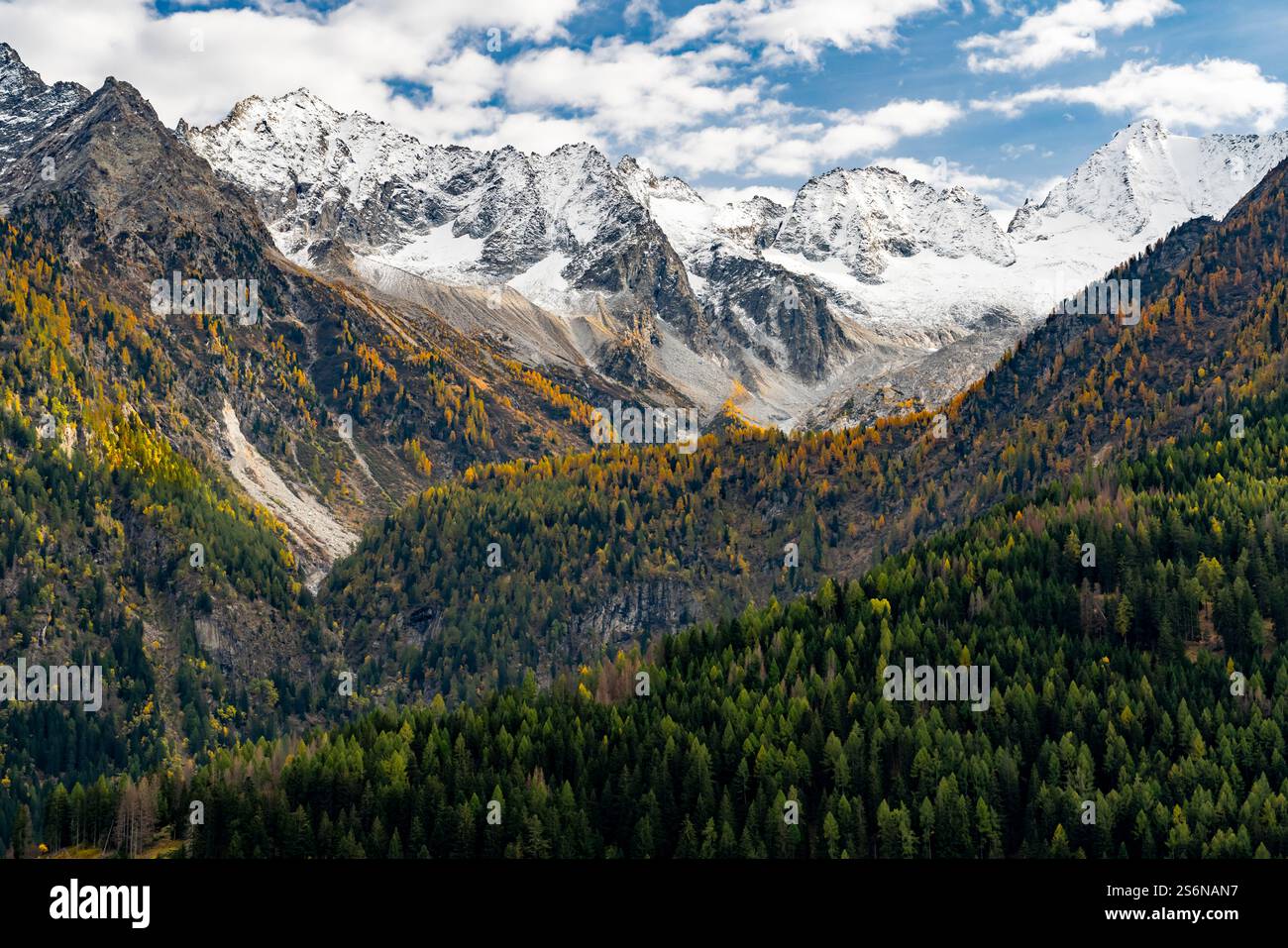 Fall foliage color in the mountains of rural Italy near Trento Stock ...